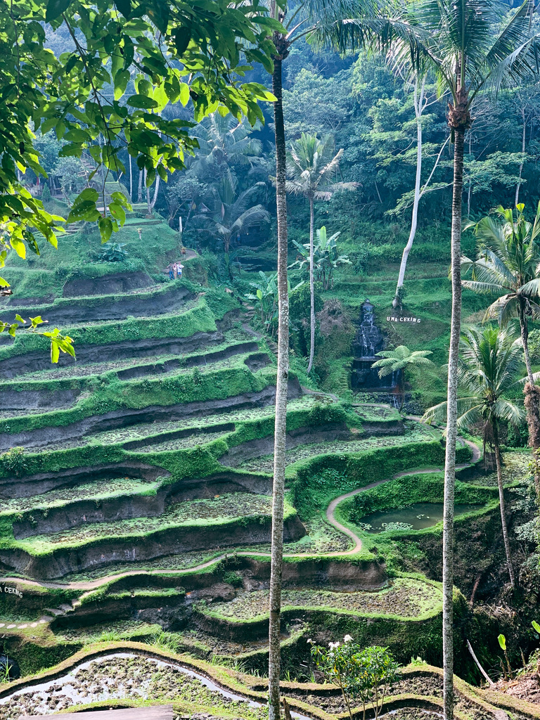 Must-Visit: Ubud Traditional Market in Bali - Big Sis Travel