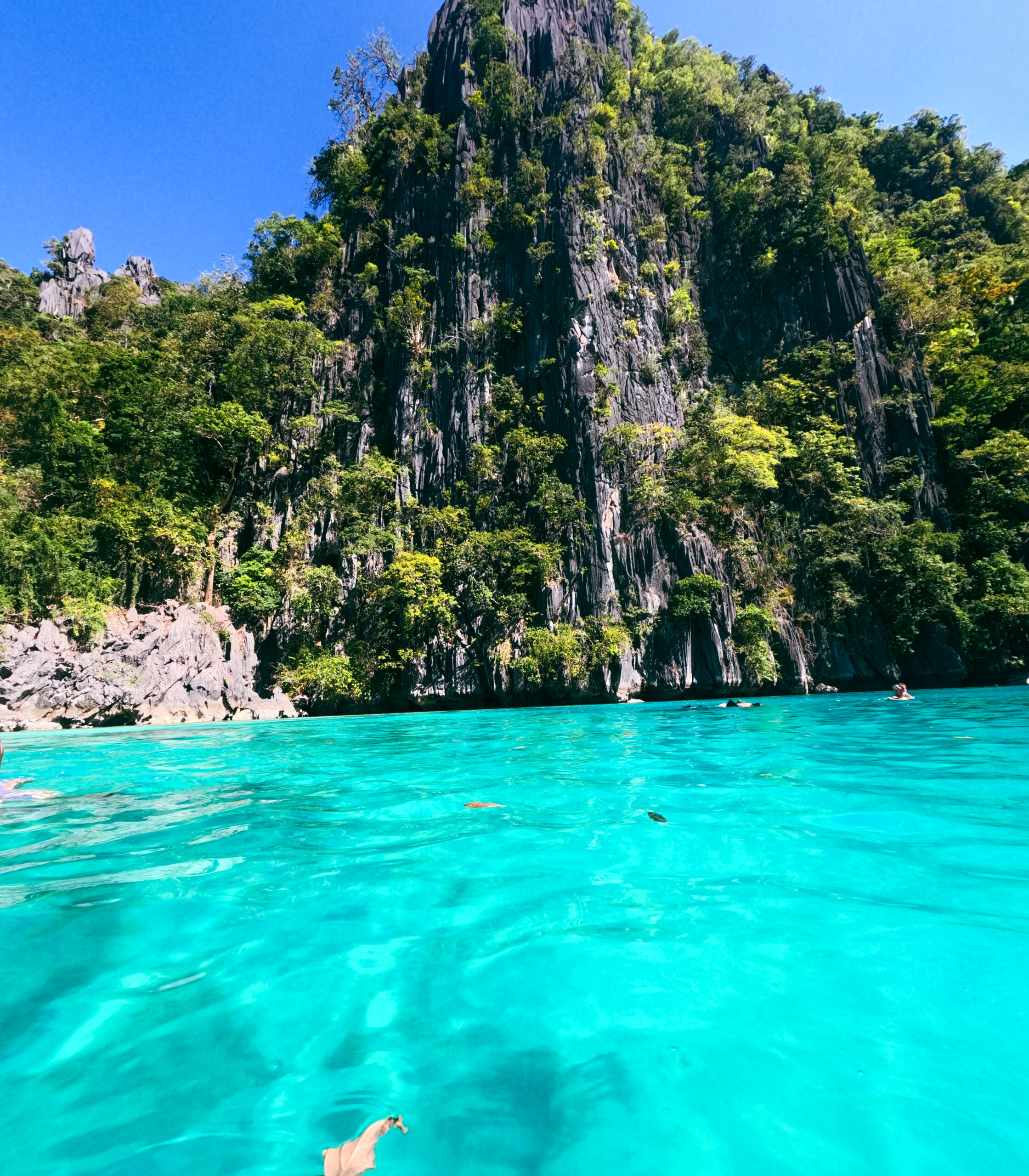 Coron Diving: A Must-Do for Travelers - Big Sis Travel